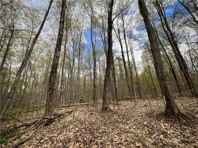 West Creek Road