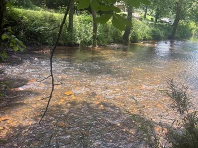 Creekfront Ln Lot 6, Hayesville, NC 28904
