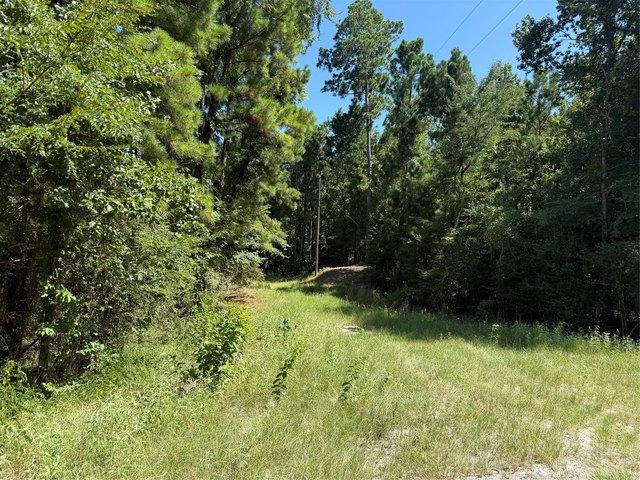 Creeklake Dr, Onalaska, TX 77360