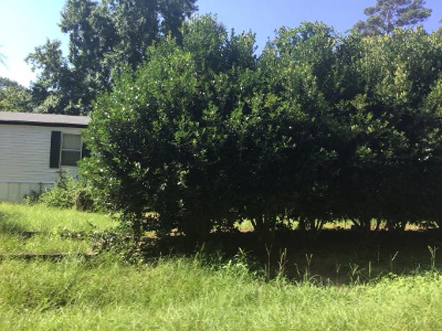 Creekside Dr