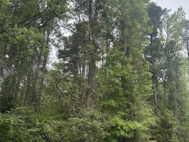 Creekside Dr Lot 1, Myrtle Beach, SC 29588