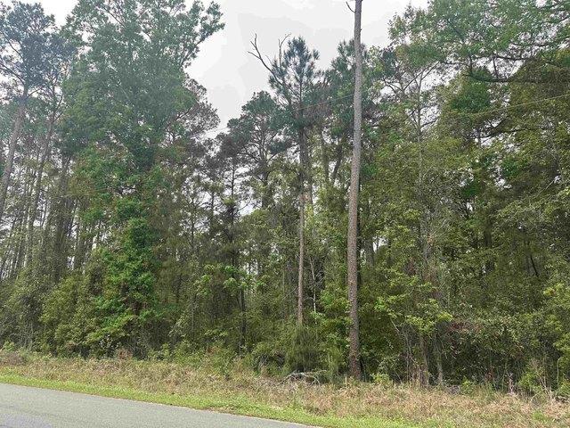 Creekside Dr Lot 2, Myrtle Beach, SC 29588