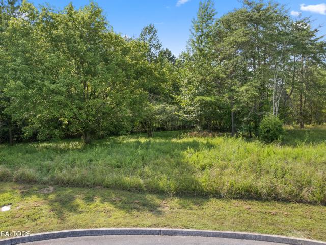 Creekside Drive, Harriman, TN 37748
