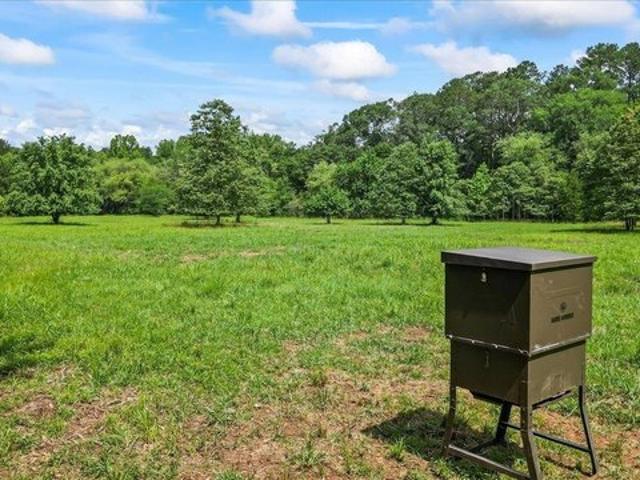 Creekview Dr, Madison, GA 30650