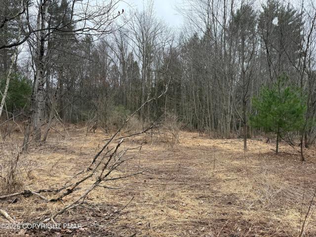 Creekview Road, Kunkletown, PA 18058
