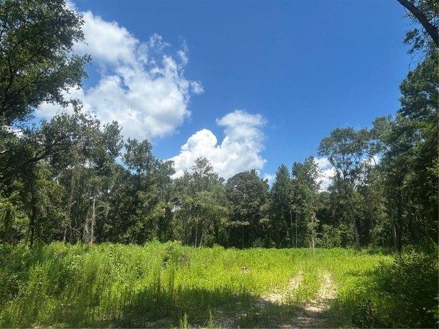 Creel Rd, Theodore, AL 36582
