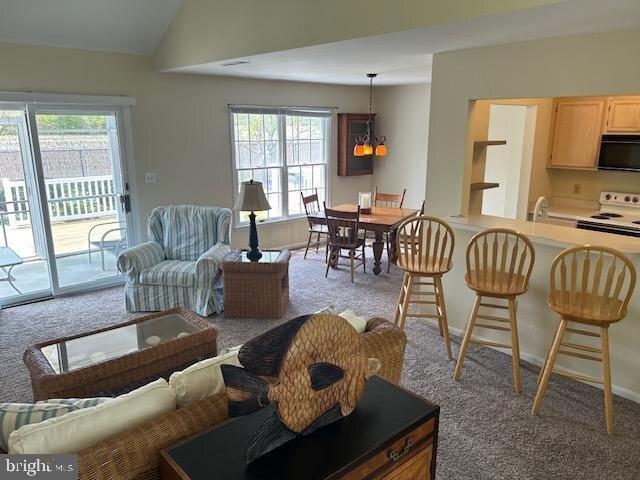 Crepe Myrtle Dr Unit,millsboro, Condo For Sale