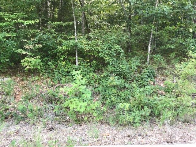 Crescent Dr Lot 107, Hollister, MO 65672