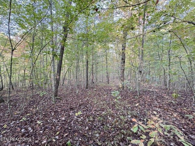 Crest View Dr Lot 7, Sunbright, TN 37872
