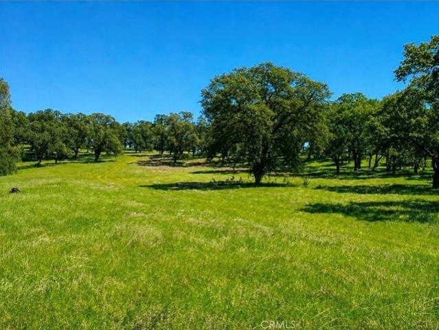 Crestmont, Palermo, CA 95968