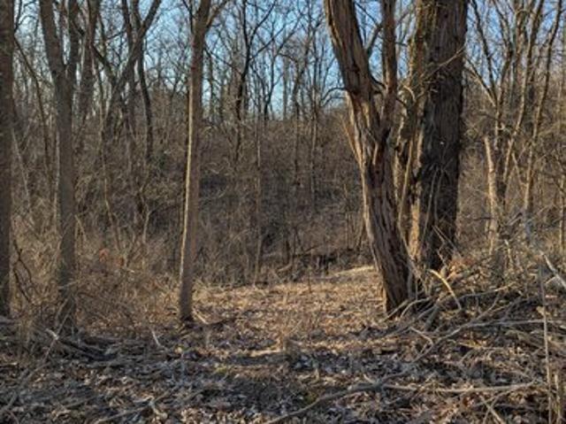 Cresthaven Dr, Lawrenceburg, IN 47025
