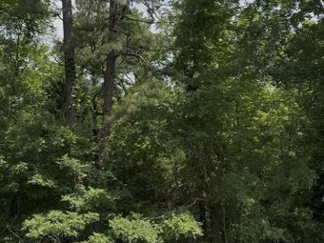 Cresthaven St, Conway, AR 72034