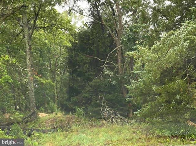 Crestview Ave, Galloway, Plot For Sale