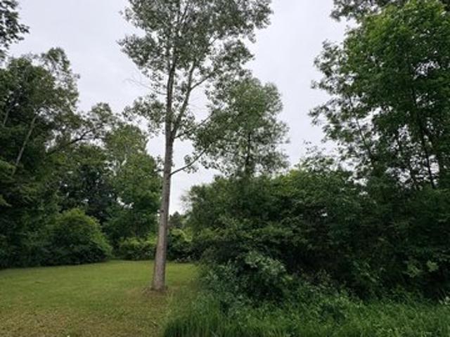 Crestview Dr, Laingsburg, MI 48848