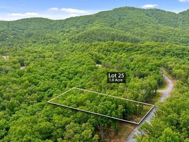 Crestview Pt Lot 25, Mineral Bluff, GA 30559