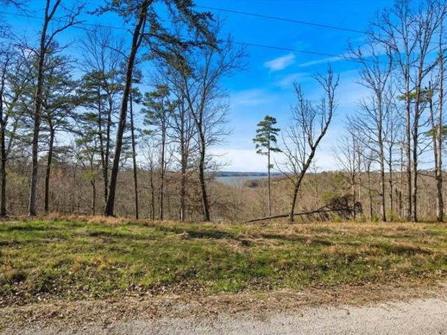Crestwood Dr, Waverly, TN 37185