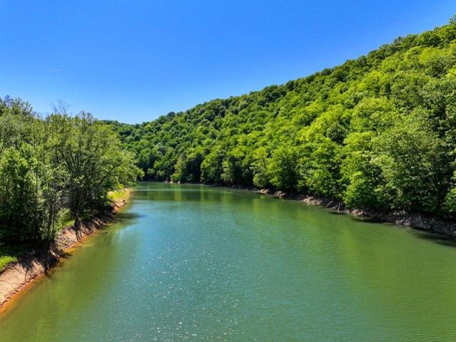 Crestwood Rd, Speedwell, TN 37870