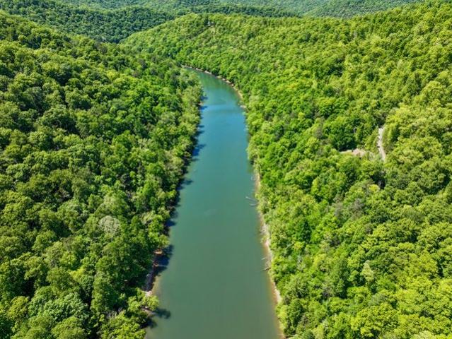 Crestwood Rd, Speedwell, TN 37870