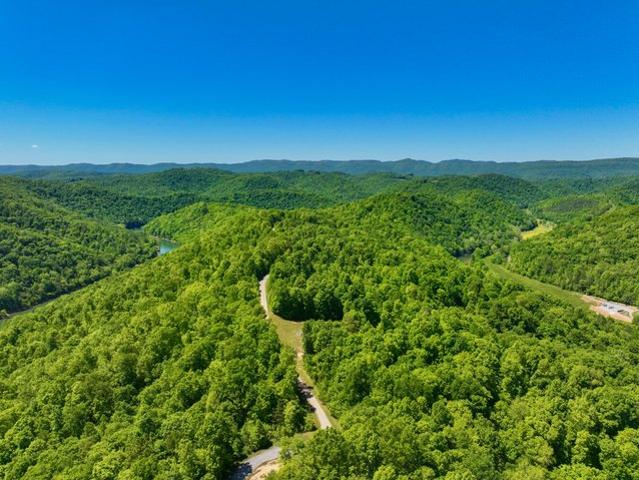 Crestwood Rd, Speedwell, TN 37870