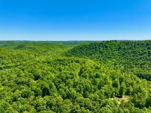 Crestwood Rd, Speedwell, TN 37870