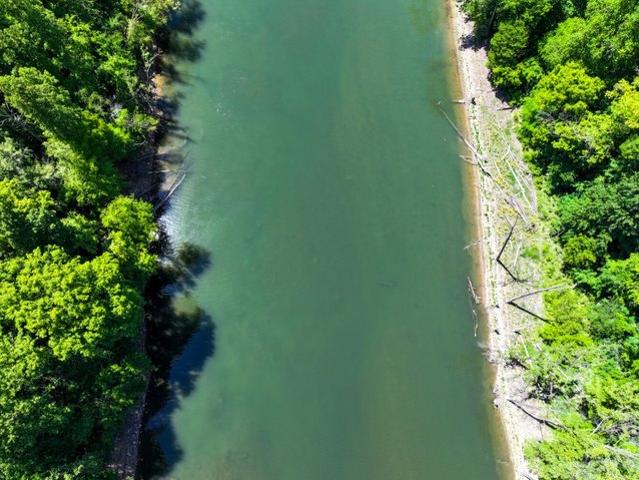 Crestwood Rd, Speedwell, TN 37870
