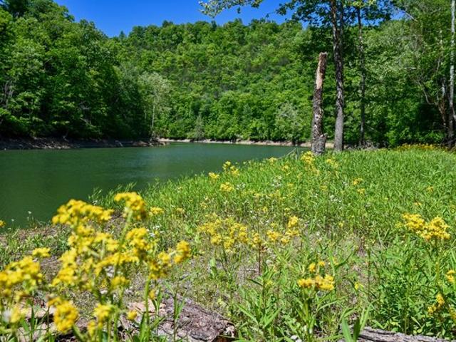 Crestwood Rd, Speedwell, TN 37870