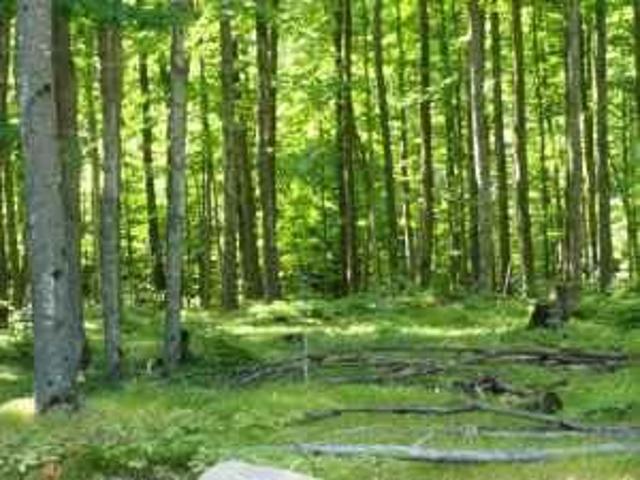 Crivitz Area WI Camping Property/ Log Cabin Acreage for sale in Appleton, Wisconsin
