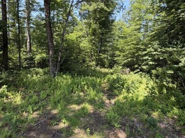 Cricket Corner Rd, Amherst, Plot For Sale
