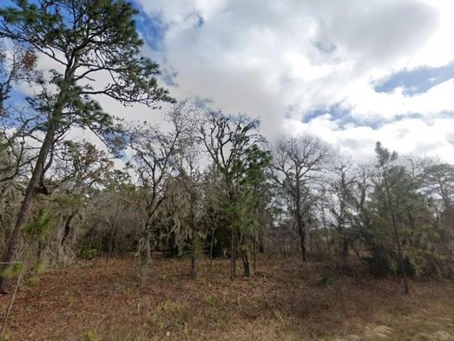 Crider Rd, Weeki Wachee, FL 34614