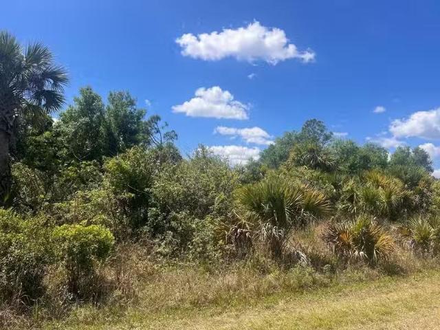 Crimsonglory Rd, North Port, FL 34288 MLS A4604854
