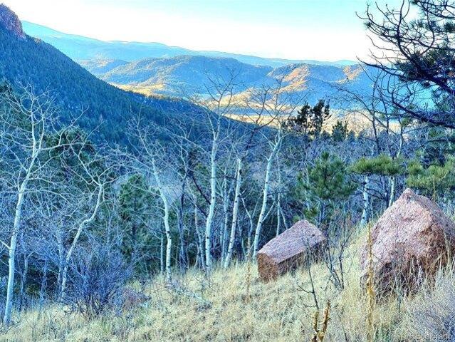 Cripple Creek CO 80813 LS88247453