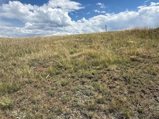 Cripple Creek, CO 80813