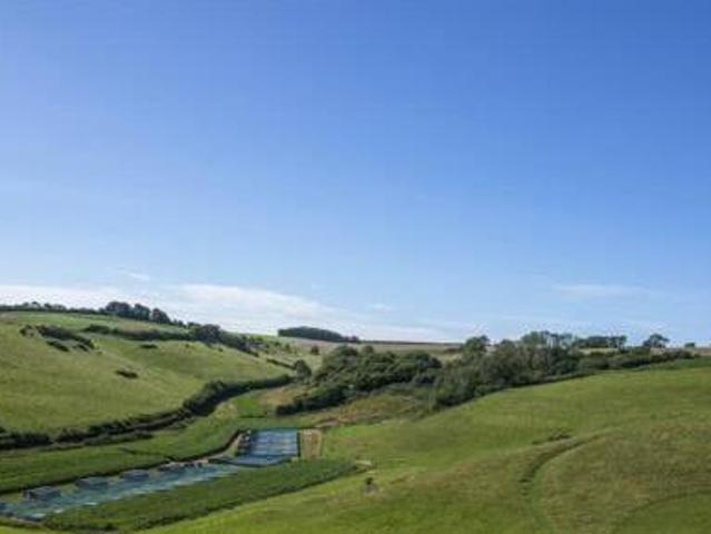 Cruxton Lane, Maiden Newton, 4 Bedroom Farm