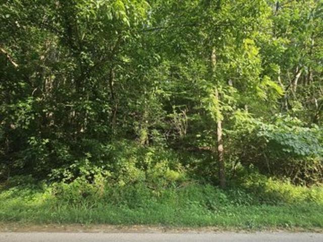 Crusenberry Rd, Saltville, VA 24370
