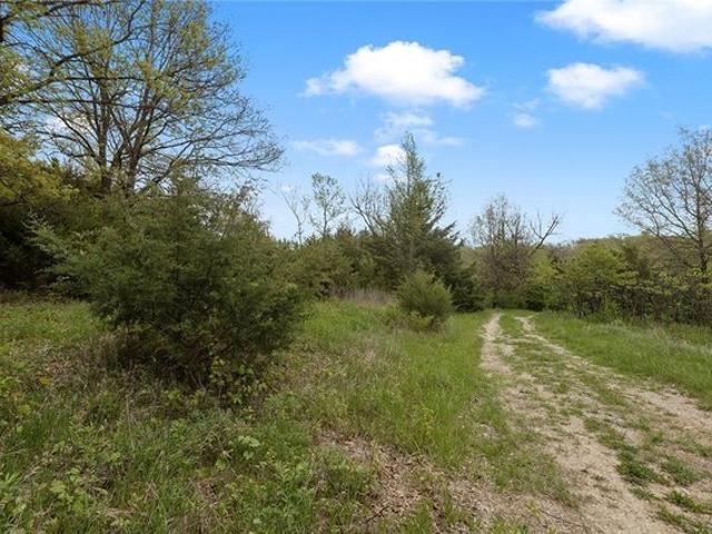 Crystal Dr Lot 52, Excelsior Springs, MO 64024