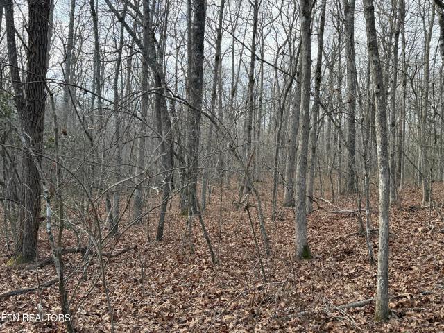 Crystal Point, Monterey, TN 38574