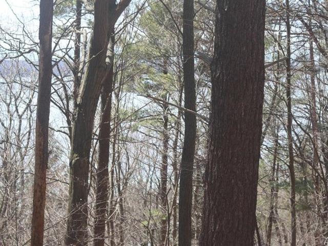 Crystal View Cmns Lot 5, Beulah, MI 49617