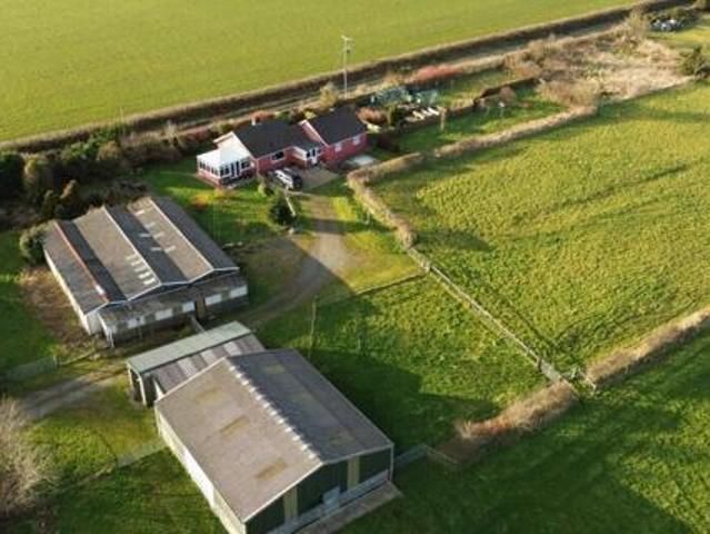 Cwrtnewydd, Llanybydder, 3 Bedroom Smallholding