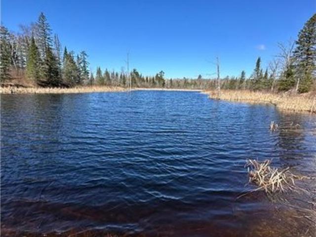 Ct 307, Blackduck, MN 56630