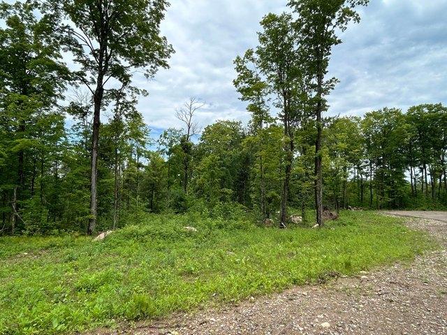 Cth G Lot 15, Pelican Lake, WI 54463