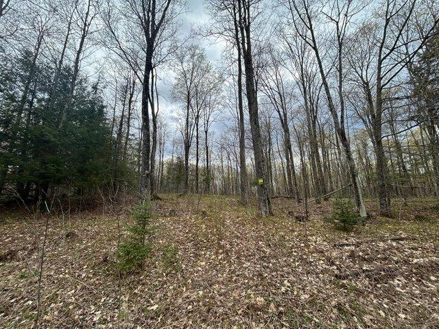 Cth G Lot 5, Pelican Lake, WI 54463