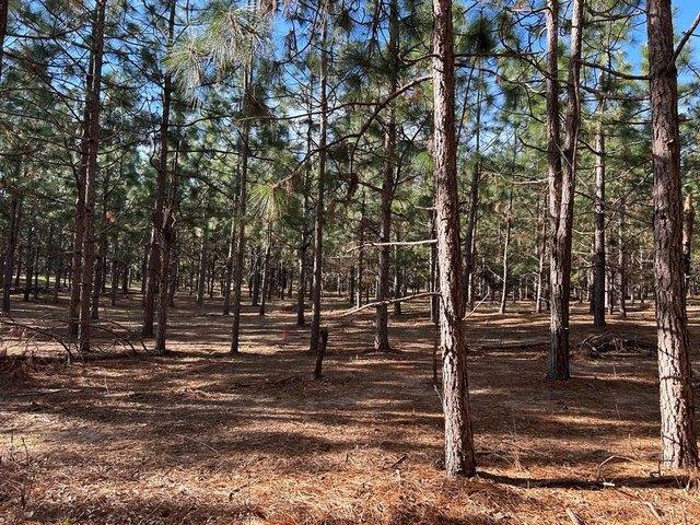 Cty 18 Rd Lots 6 & 3, Headland, AL 36345