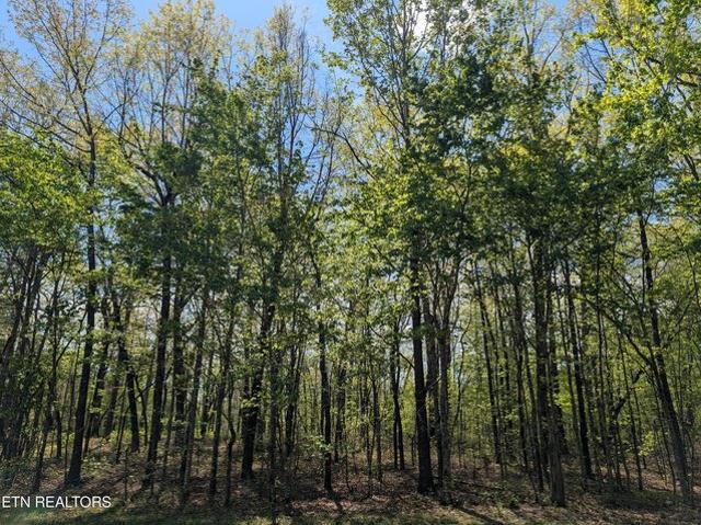 Cumberland Lakes Dr, Monterey, TN 38574