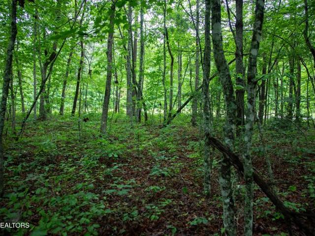 Cumberland Lakes Dr Lot 6, Monterey, TN 38574