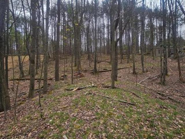 Cumberland Lot 233, Oakland, MD 21550