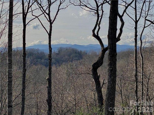Cummings Cove Pkwy Unit 12, Hendersonville, NC 28739