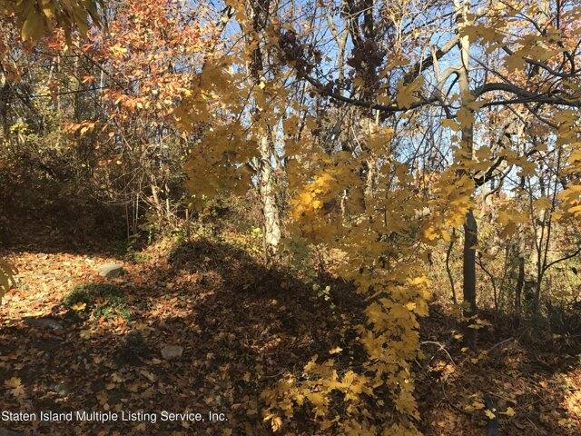 Cunard Ave, Staten Island, Plot For Sale