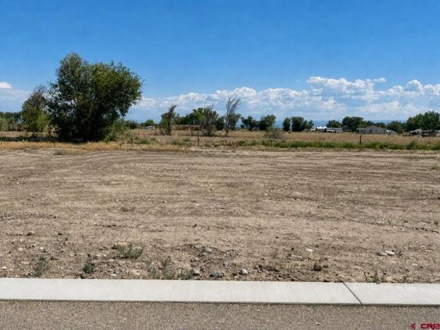 Cunningham Tbd St Lot 13, Delta, CO 81416