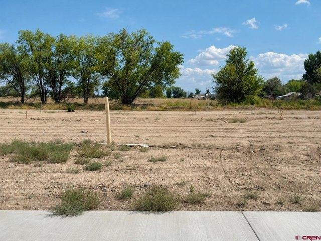 Cunningham Tbd St Lot 7, Delta, CO 81416