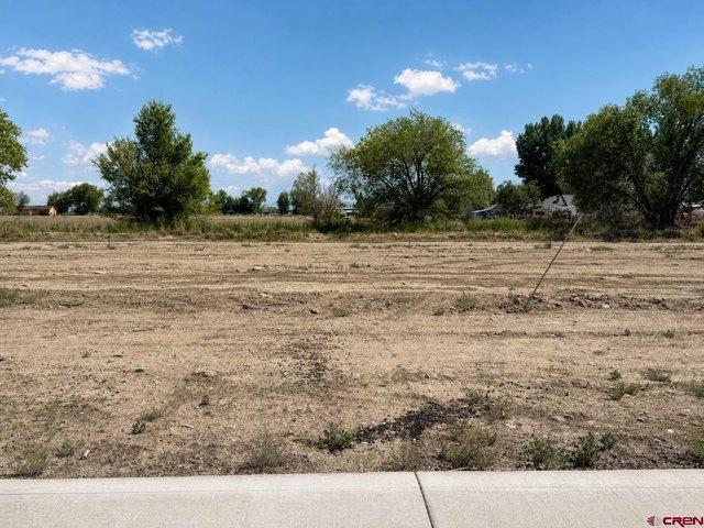 Cunningham Tbd St Lot 6, Delta, CO 81416